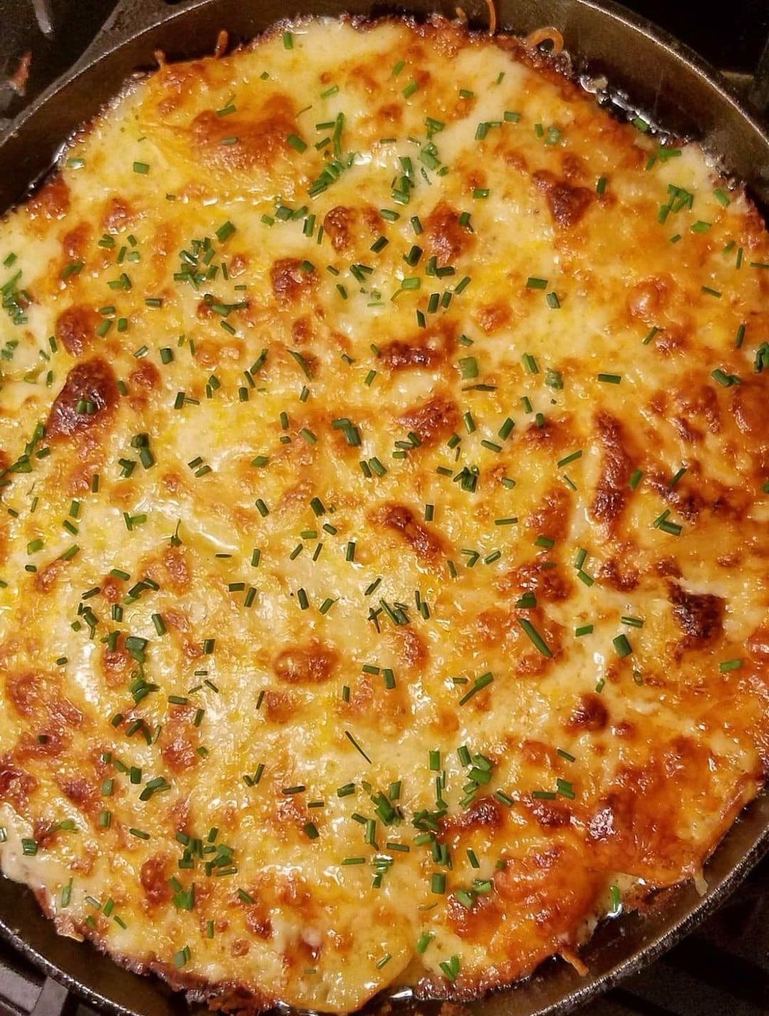 The Finest Potatoes DelMonico Recipe CYSSERO The Finest Potatoes DelMonico Recipe CYSSERO