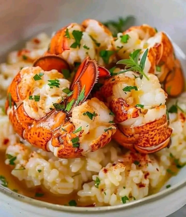 Lobster Risotto - CYSSERO