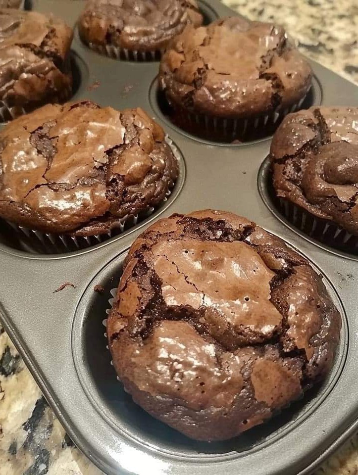 Fudgy Chocolate Muffins - CYSSERO