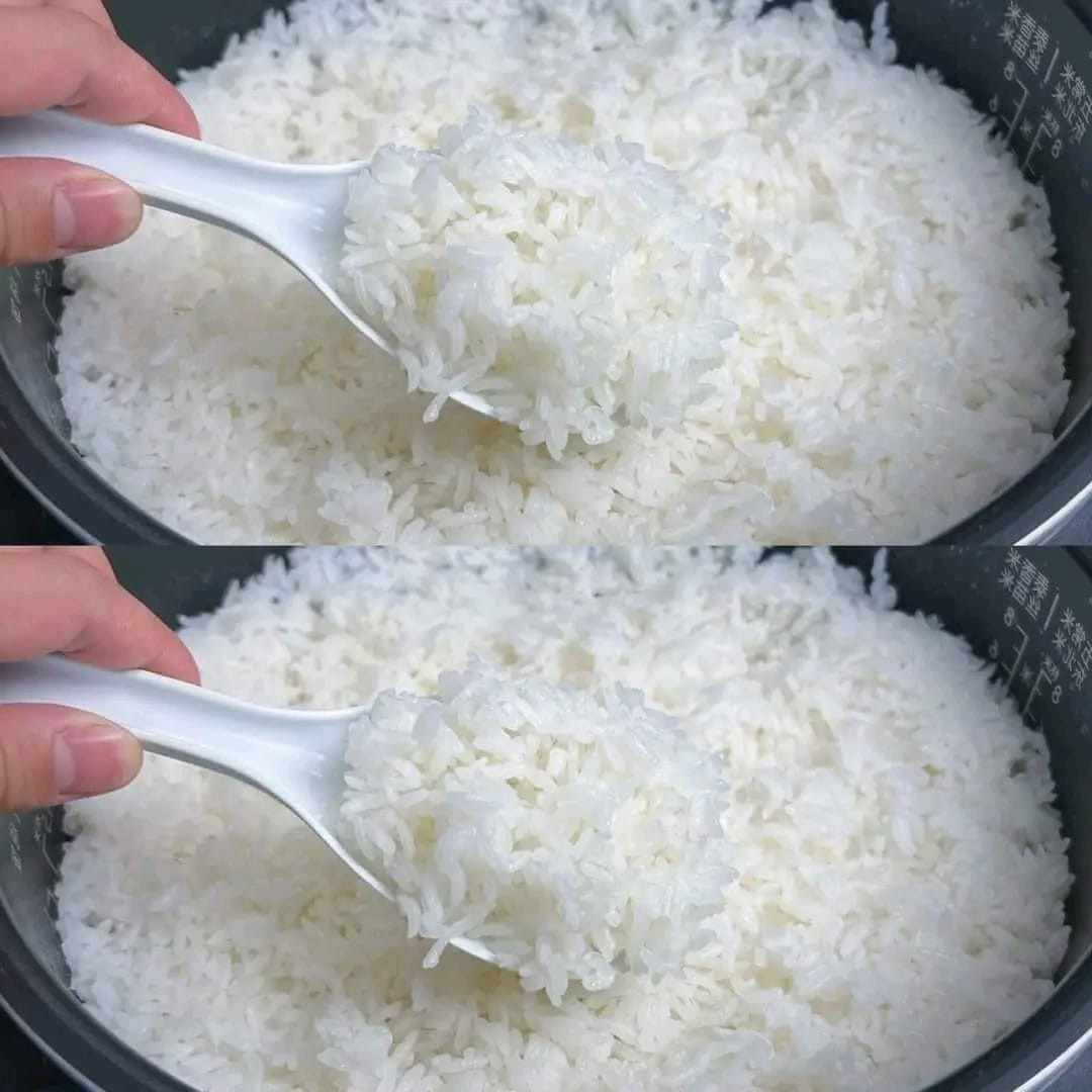 Sushi Rice Balls Onigiri - CYSSERO