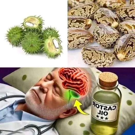 The Versatility of Castor Oil: Benefits and Cautions - CYSSERO