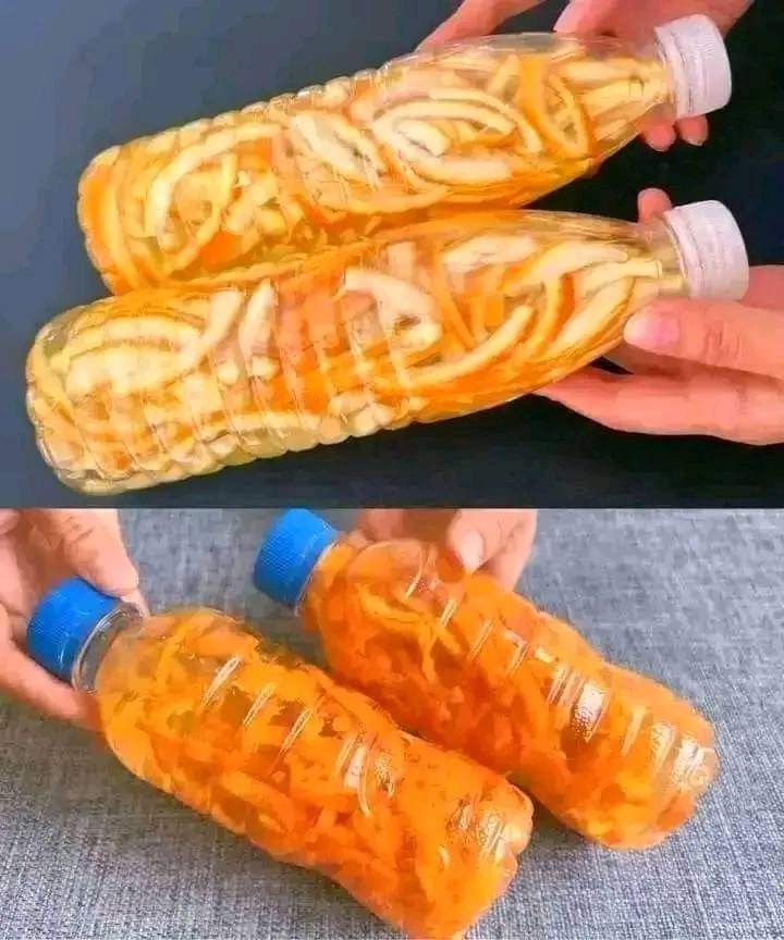 Pickled Lemon Peels in Bottles - CYSSERO