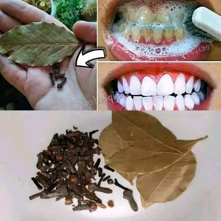 Natural Toothpaste with Bay Leaves and Cloves - CYSSERO
