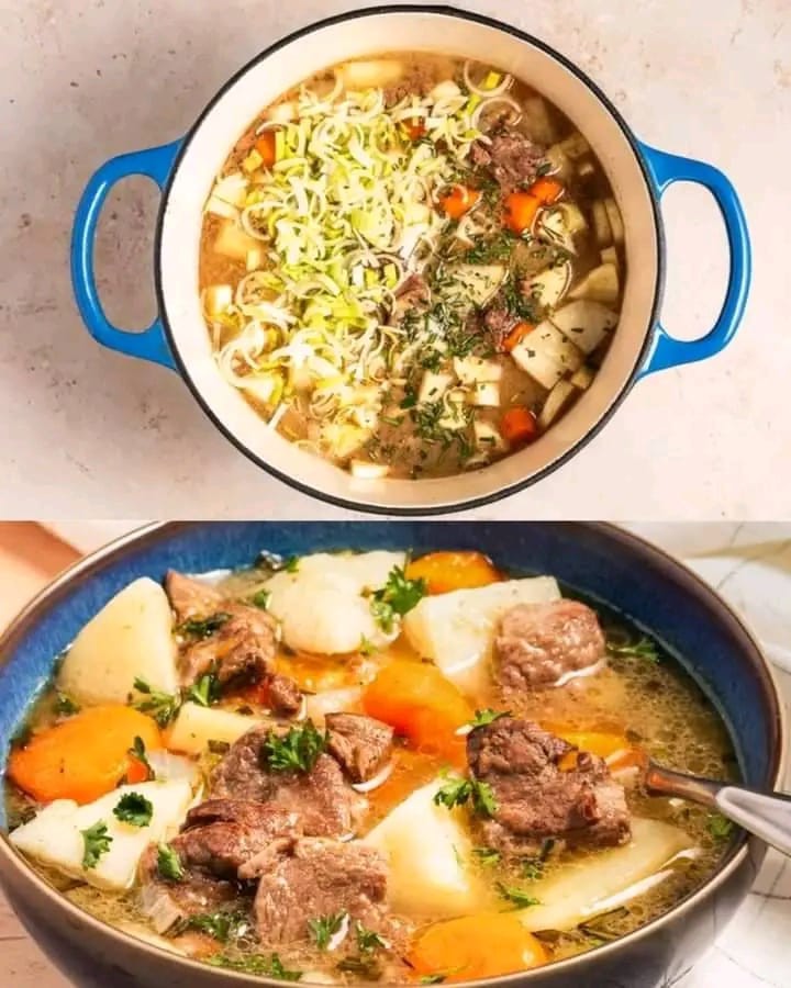 Light Beef and Vegetable Stew - CYSSERO