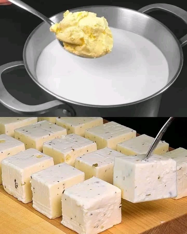 "Homemade Herbed Cheese Cubes" - CYSSERO