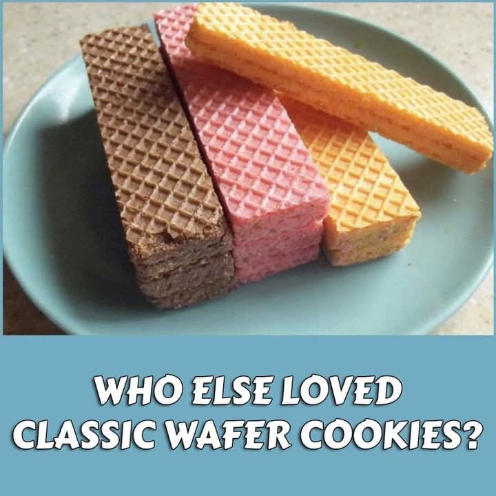 Classic Wafer Cookies: A Sweet Taste of Nostalgia" - CYSSERO