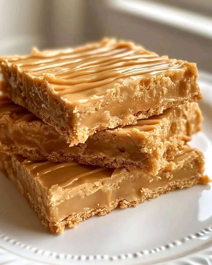 Butterscotch Fudge Cookie Bars - CYSSERO