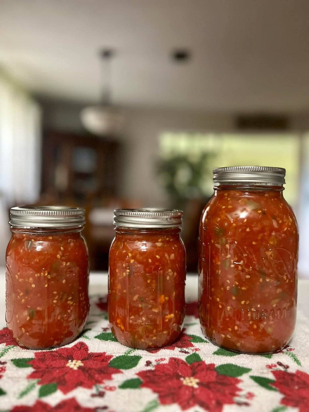 Homemade Canned Salsa - CYSSERO